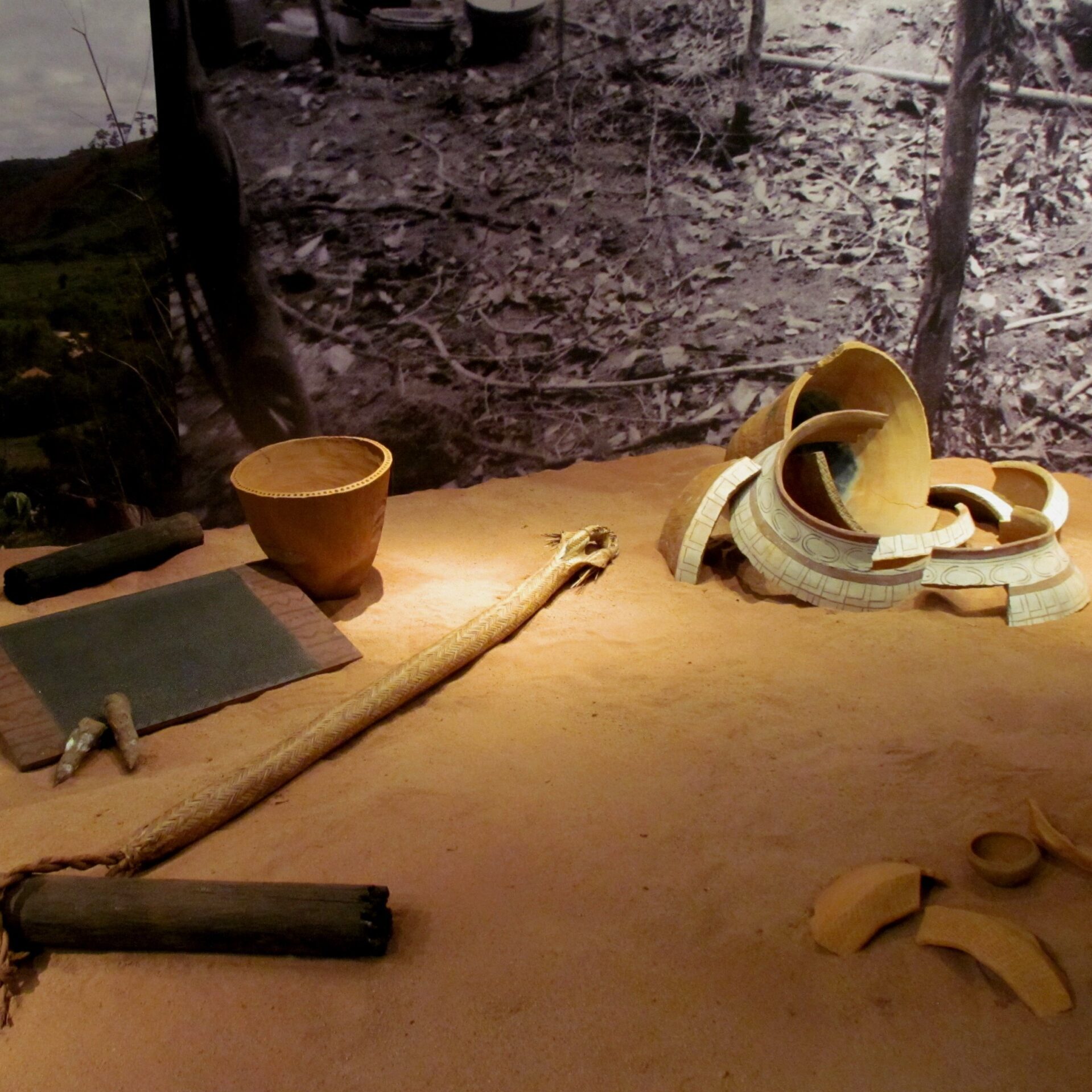 Mesa Redonda – Indígenas ancestrais, arqueologias e museus: ossos são ...
